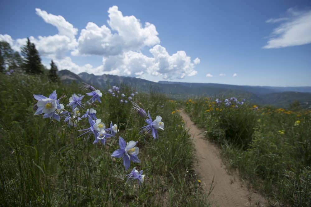 Hike - Durango Trails