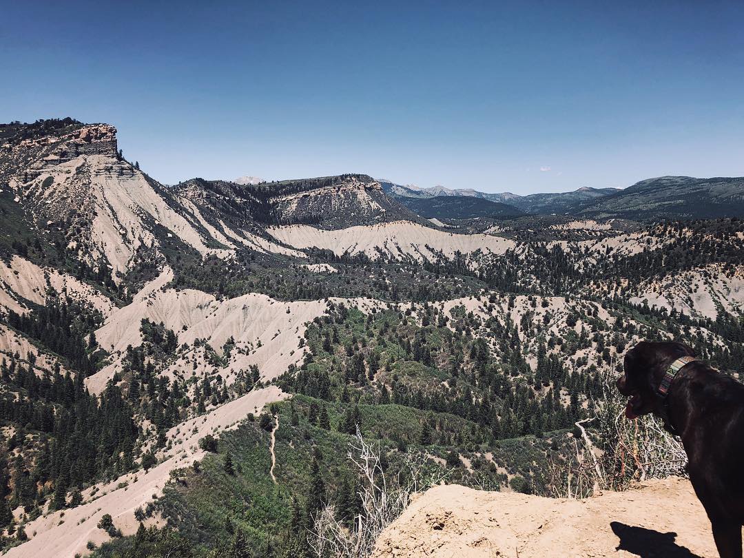 Hogsback Trail - Durango Trails