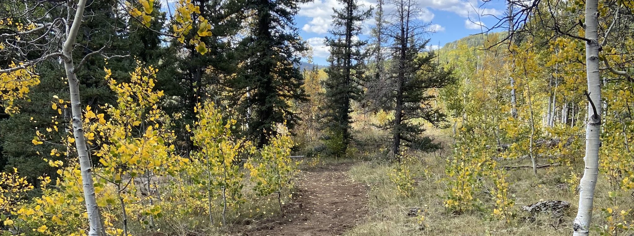 Bike - Durango Trails